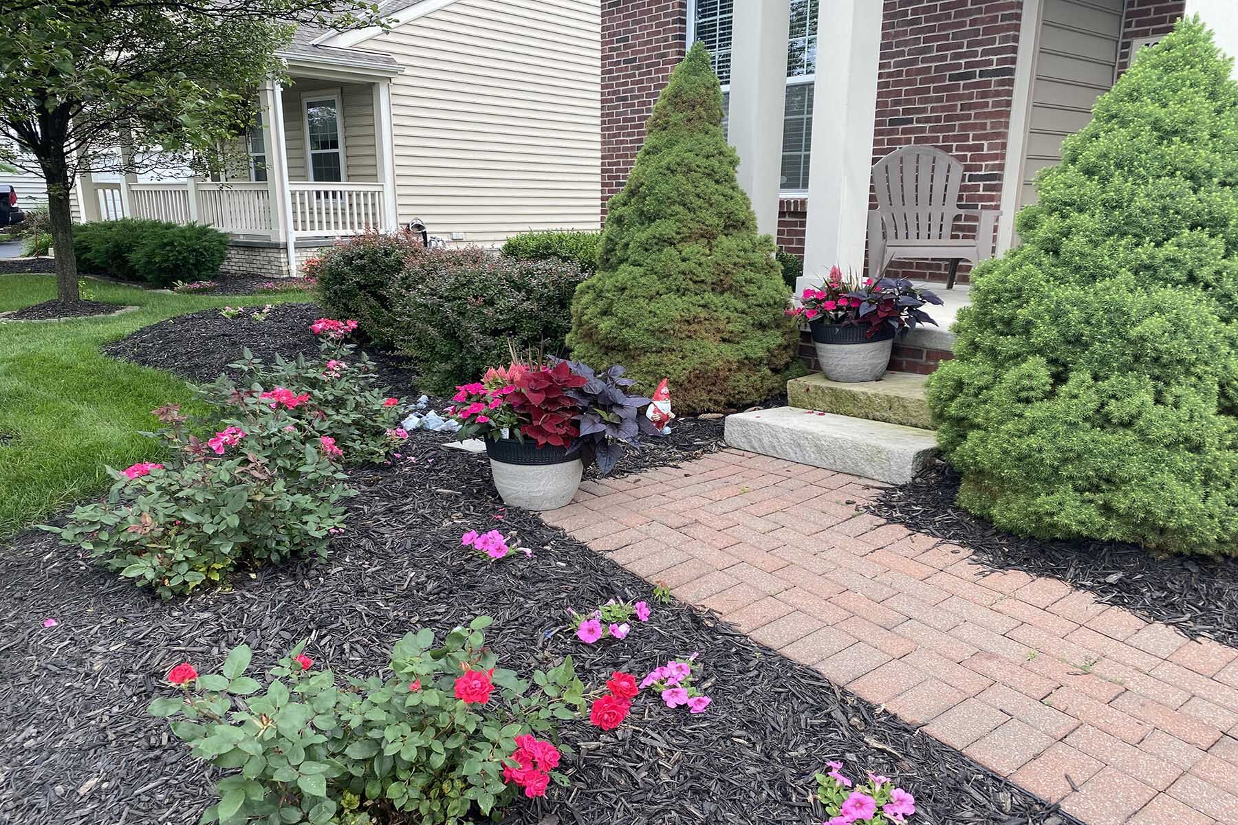 The Michalovich Story | Welcome to Better - M/I Homes