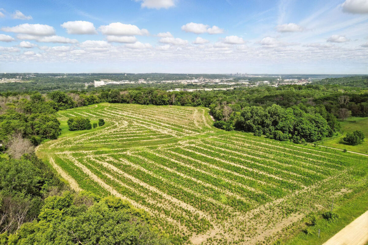 Homes for Sale in Newport, MN - M/I Homes