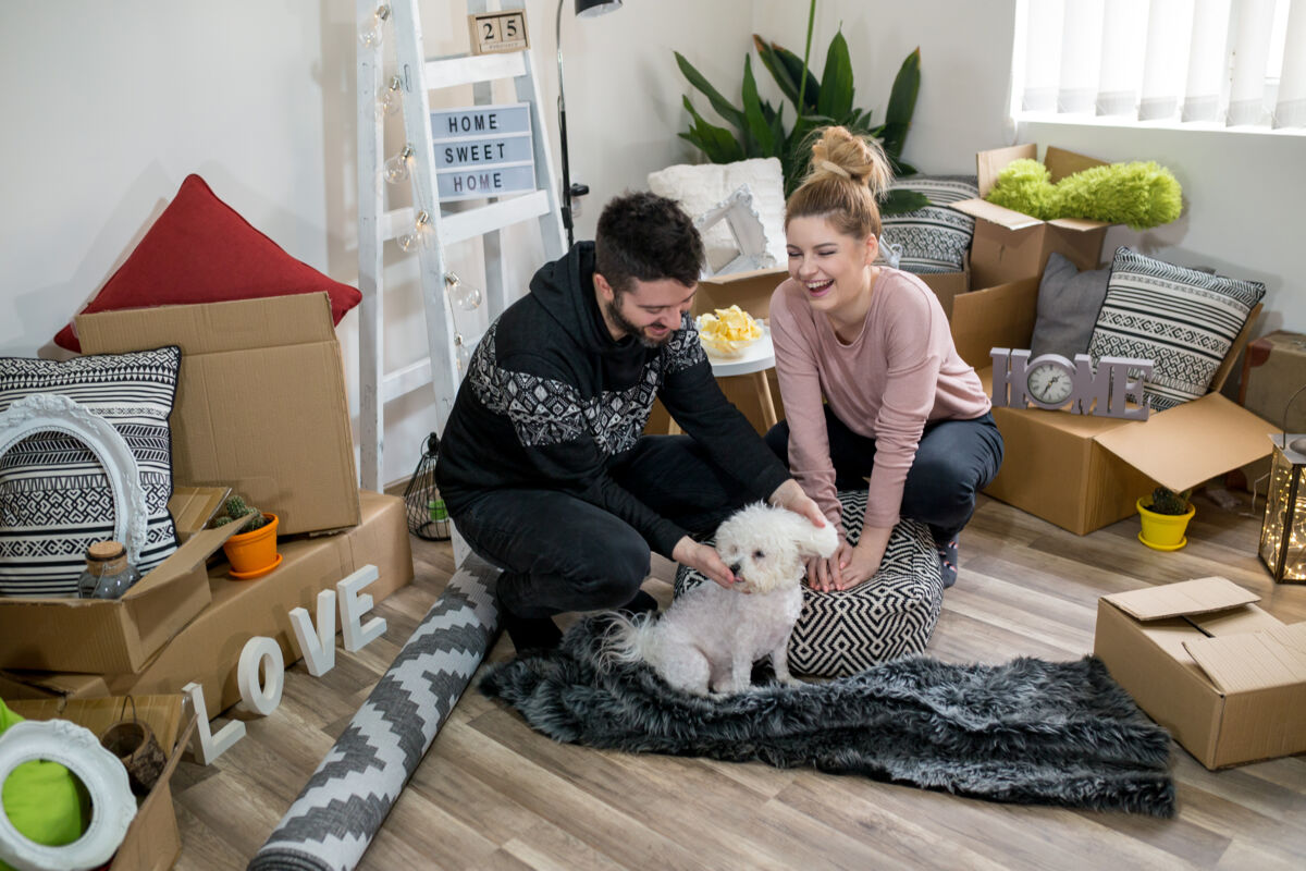 6 Tips for Moving With Pets | Welcome to Better - M/I Homes